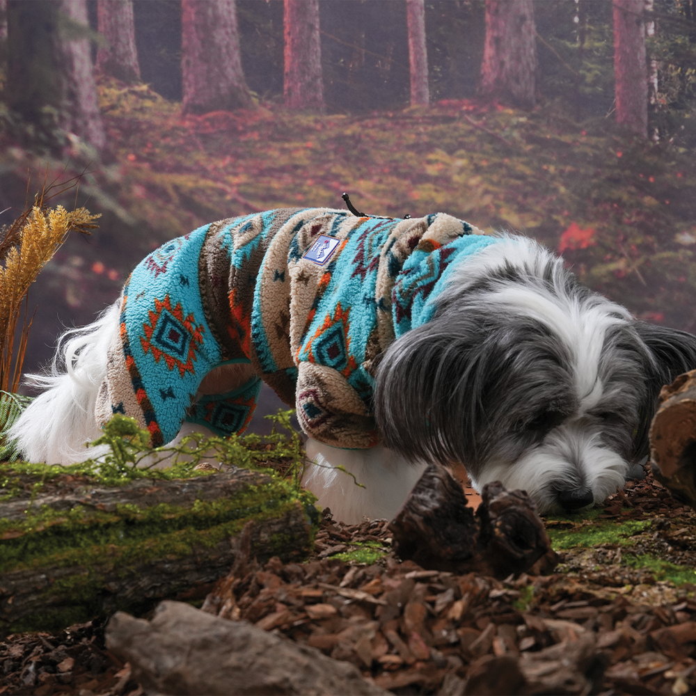 Sherpa Fleece Dog All-in-One with Integrated Snood | Full Body Warmer ...